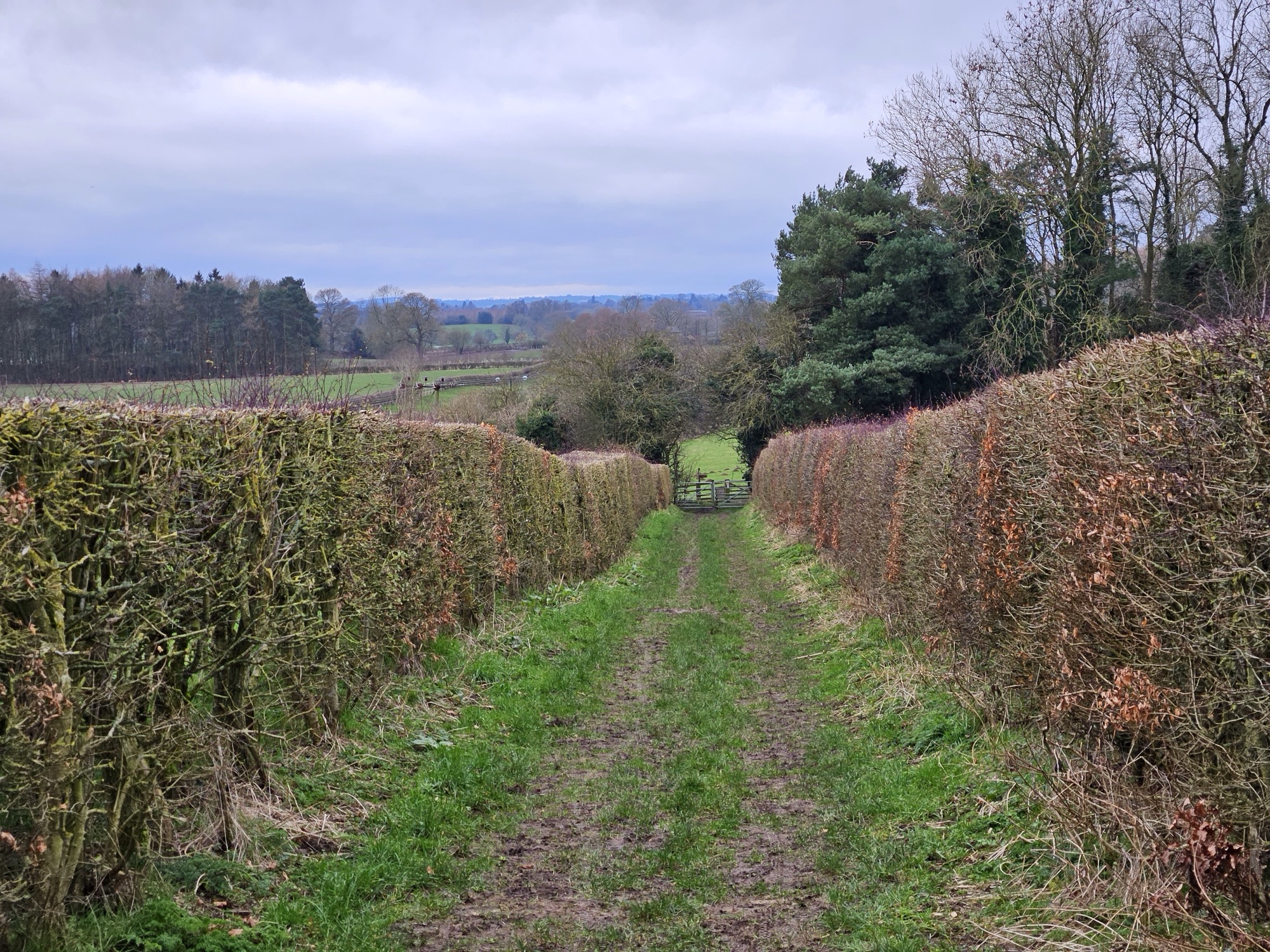 Bridge Hewick Results & Report | nymbo : north yorkshire mountain bike ...