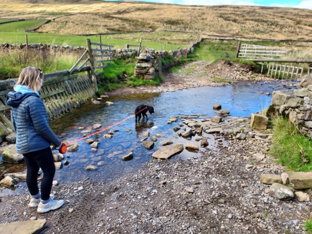 nymbo : north yorkshire mountain bike orienteers | mountain bike ...