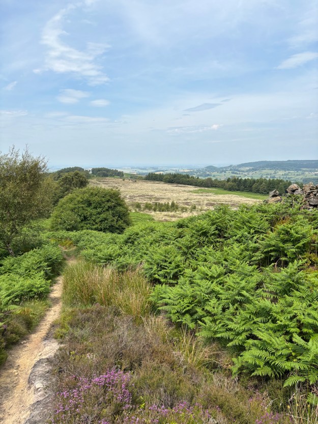 nymbo : north yorkshire mountain bike orienteers | mountain bike ...